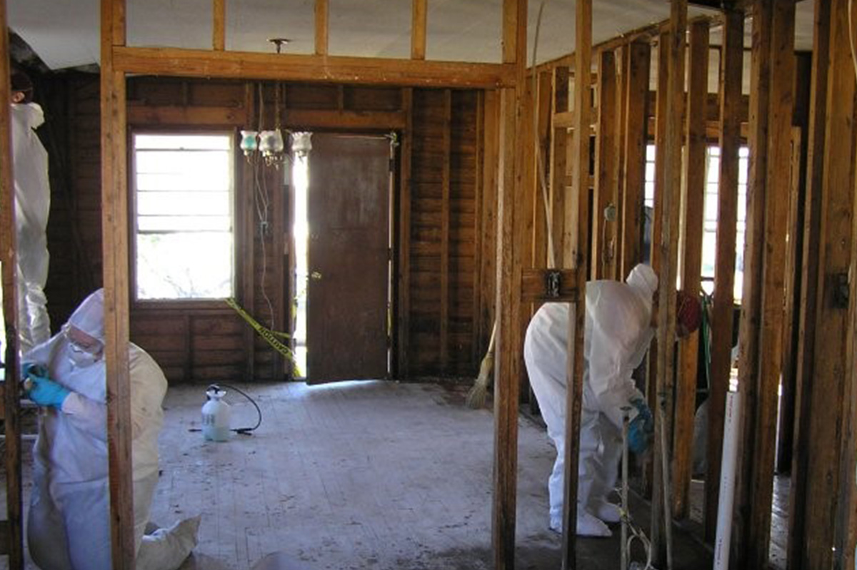 Mold Remediation And Mold Removal - MoldCare - Removal & Prevention