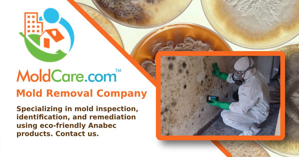 Mold Removal Company & Mold Inspections - MoldCare